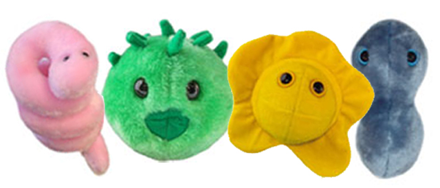 The College Care Package Your Mother Never Sent You | /Slantist